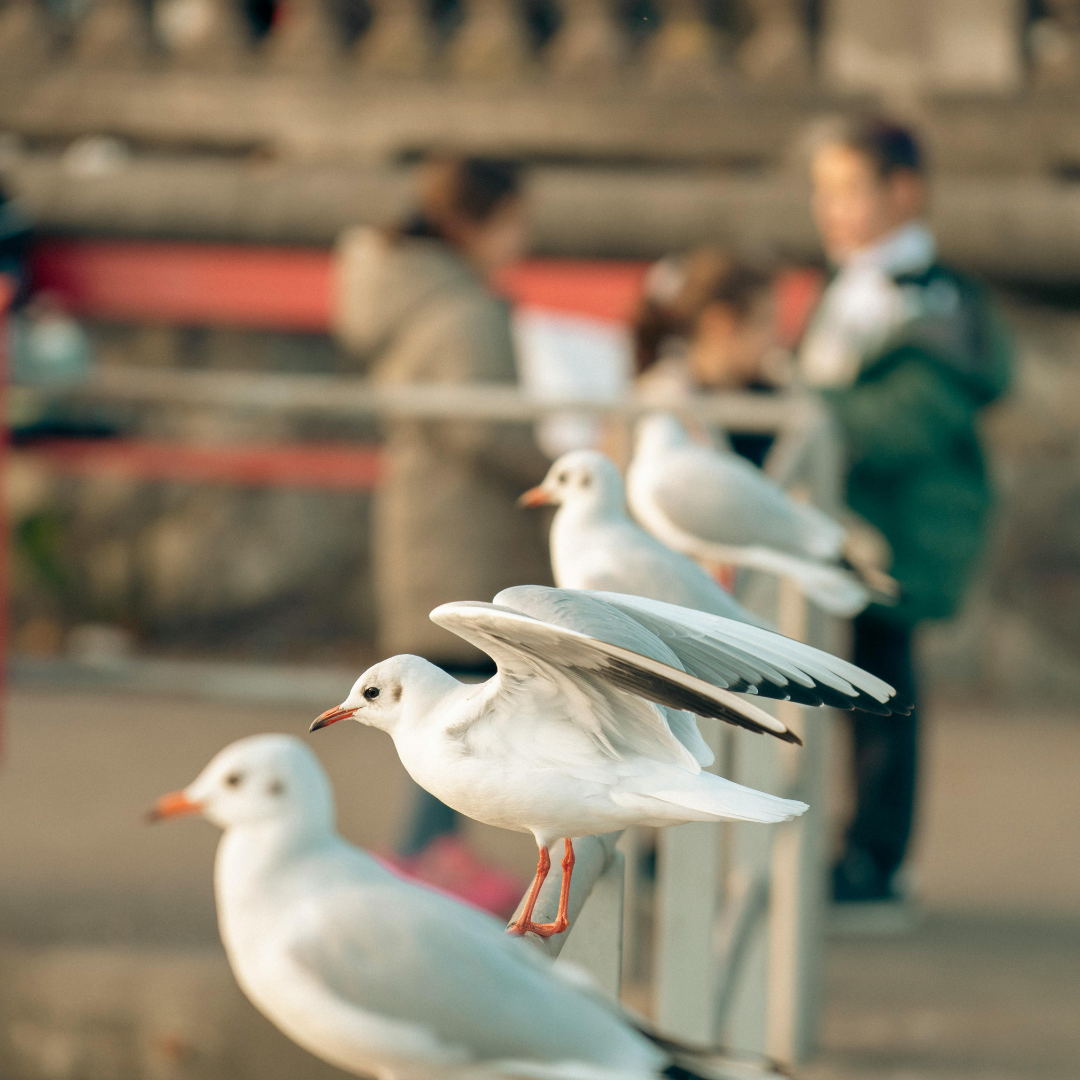 The ABC’s of Kung Fu: Attitude, Behaviour and Character – Teach Me Kung Fu Schools